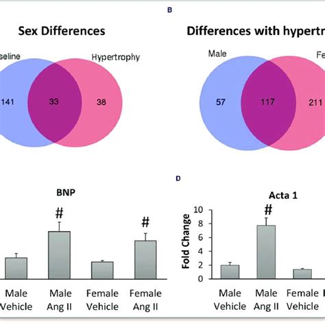 Sex Differences In Mrna With Angiotensin Ii Ang Ii Treatment The