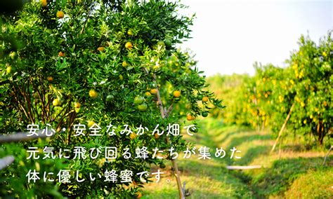 【農薬：栽培期間中5割減】 【化学肥料：栽培期間中無使用】 みかんの花のはちみつ こだわり野菜をお届け はにーびー