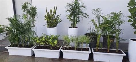 24 To 39 Top Dia Inch Natural Rectangular Flower Pot Packaging Type