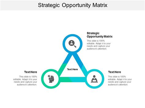 Strategic Opportunity Matrix Ppt Powerpoint Presentation Outline Vector Cpb