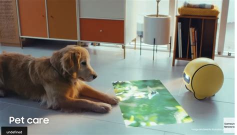 Ces 2024 Samsungs New Ai Robot Companion Ballie Bot Takes Care Of
