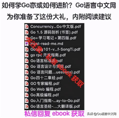 Go Go Golang