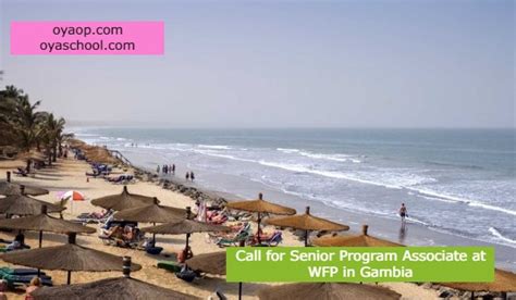 Senior Program Associate At Wfp Vacancy Call Oya Opportunities Oya