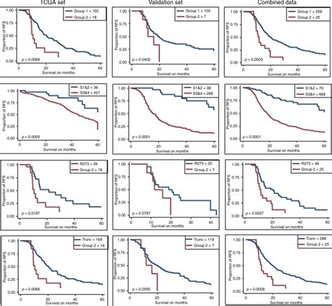 Clinical Relevance Of Tp53 Hotspot Mutations In High Grade Serous