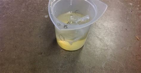 Biolabblog Dyalisis Diffusion