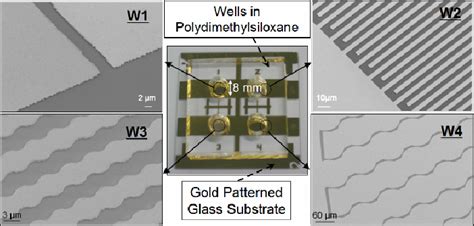 Device Picture And Sem Pictures Of The Four Different Types Of