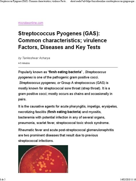 Streptococcus Pyogenes Gas Common Characteristics Virulence Factors Diseases And Key Tests