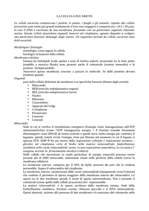 Le Cellule Eucariotiche Schema Docsity
