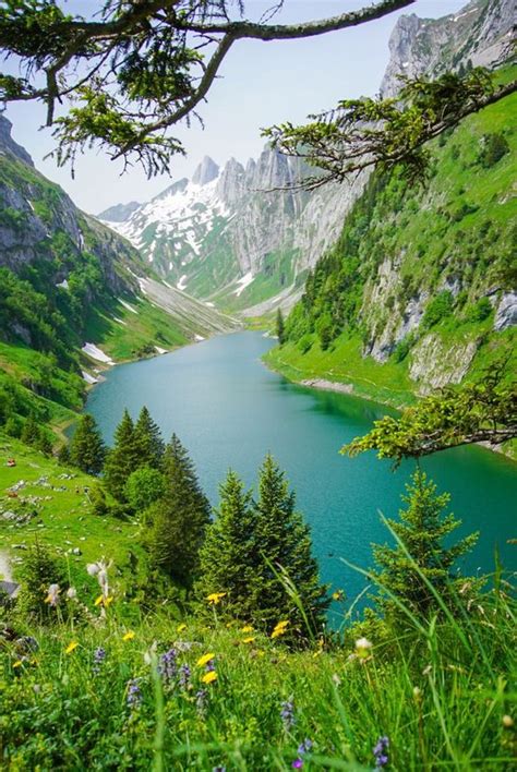 Aleksandar Mitrovic Photos