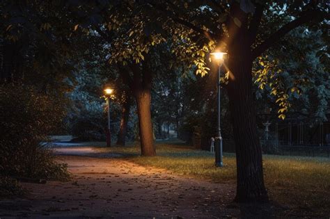 Premium Photo Empty Path Winding Through Park Lit By Street Lamps At