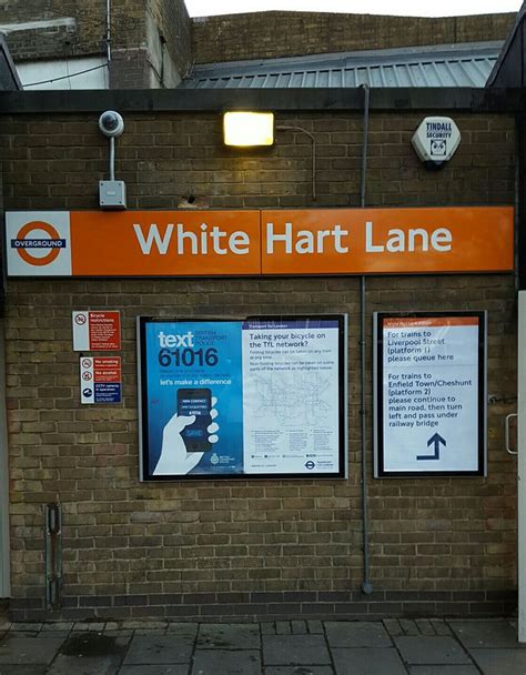 화이트 하트 레인 직관 후기 Nba Mania