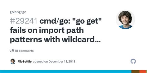 cmd go go get fails on import path patterns with wildcards