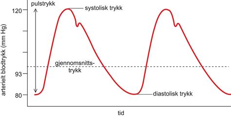 Blodtrykk Store Medisinske Leksikon