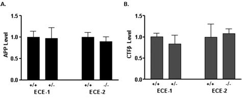 Analysis Of App And Ctf Expression In Brains Isolated From Ece Knockout