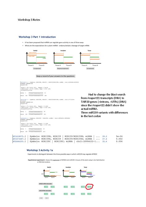 Workshop 3 Notes Summary Genes Organisation And Function Workshop