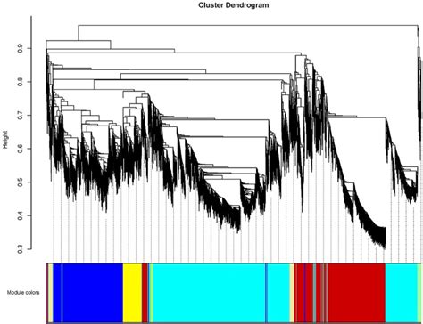 Spatiotemporal Transcriptome Analysis Provides Insights Into Bicolor Tepal Development In Lilium