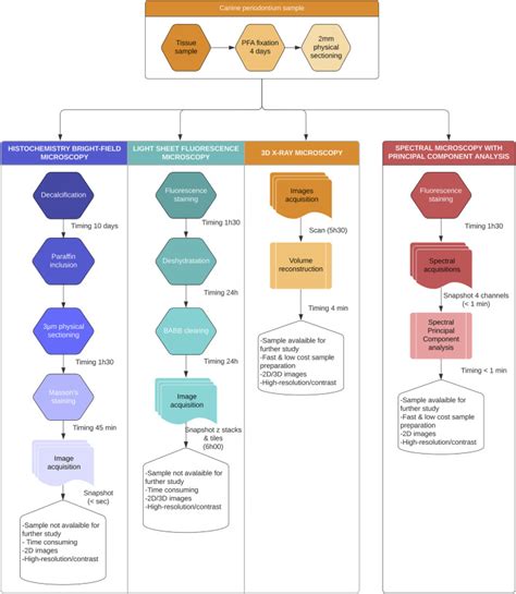 A Spectral Principal Component Analysis Based Framework For Composite Hard Soft Tissue