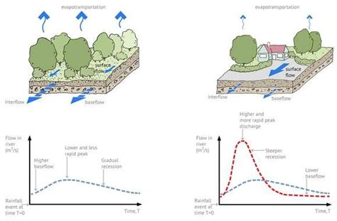Flood Risk Management Risk Management Flood Risk Environmental Engineering