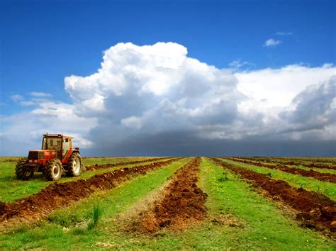 Download Tractor Field Agriculture Wallpaper