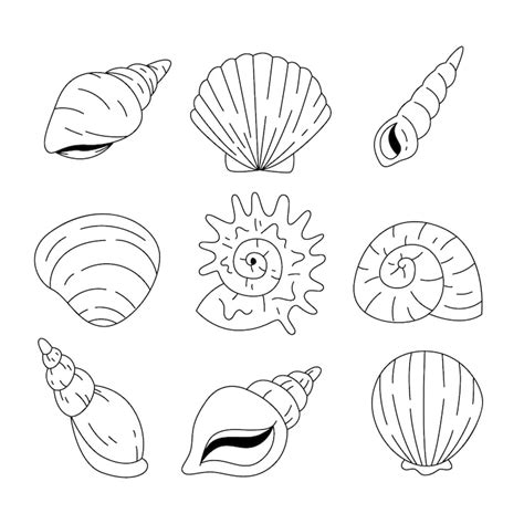 Images De Coquille Saint Jacques Dessin Téléchargement Gratuit Sur Freepik