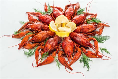 白色背景中的红龙虾柠檬片和绿色香草高清图片下载 正版图片504318259 摄图网