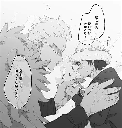 Trafalgar Law And Donquixote Doflamingo One Piece Drawn By K Danbooru