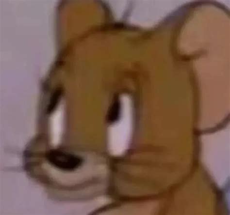 猫和老鼠杰瑞头像可爱又沙雕配图网