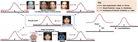 Figure 2 From Divergence Driven Consistency Training For Semi