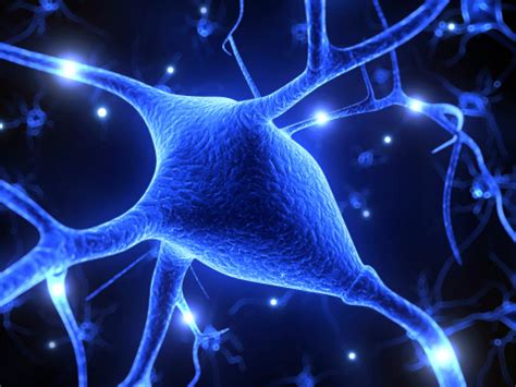 New Treatment For MS Major Step Towards Finding A Cure