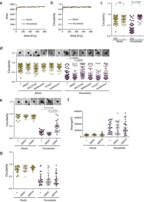 Matrix Viscoelasticity Controls Spatio Temporal Tissue Organization Pmc
