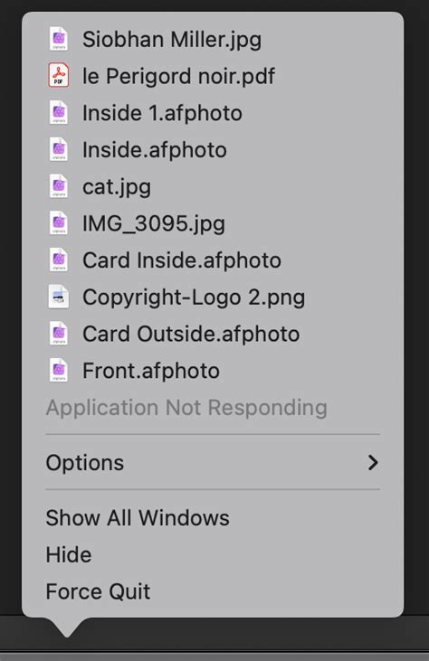 affinity photo 2 crashes when trying to open a photo v2 bugs found on