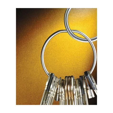 Stainless Steel Tamper Proof Key Rings