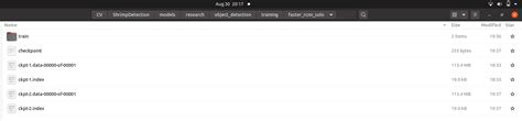 Unable To Createupdate The Checkpoints During Training · Issue 9168