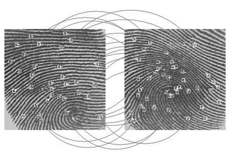 Fingerprint Vs Finger Vein Biometric Authentication