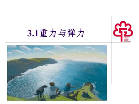 3 1 重力与弹力 课件 共41张PPT 人教版2019必修第一册 21世纪教育网 二一教育