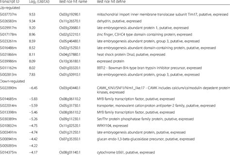 Function Annotations Of Top 10 Up Regulated And Down Regulated Genes In