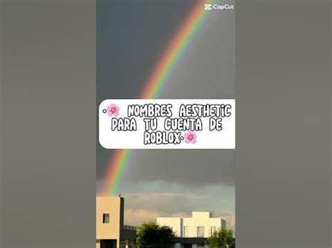 Apodos Para Roblox Aesthetic Actualizado Junio 2024 Vrogue
