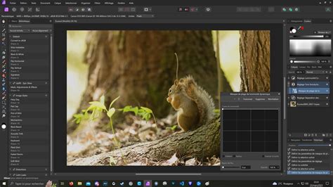 Shadows And Highlights Affinity On Desktop Questions MacOS And
