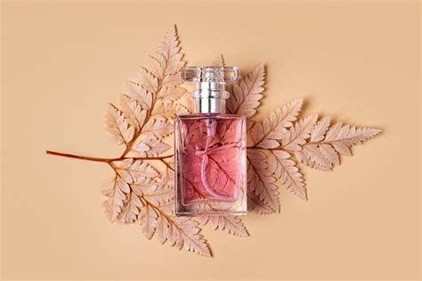Perfumy Z Lidla Tanie Zapachy O Luksusowym Aromacie Feminin