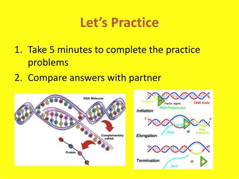 Ppt What Do You Remember About Dna Think About… Structure Function Building Blocks Base