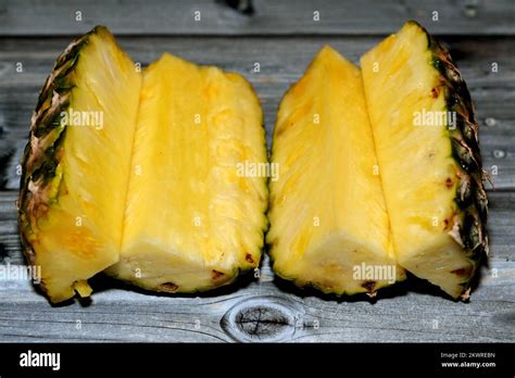 The Pineapple Ananas Comosus A Tropical Plant With An Edible Fruit