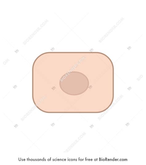 Free Cuboidal Cell Rectangular Icons Symbols Images BioRender