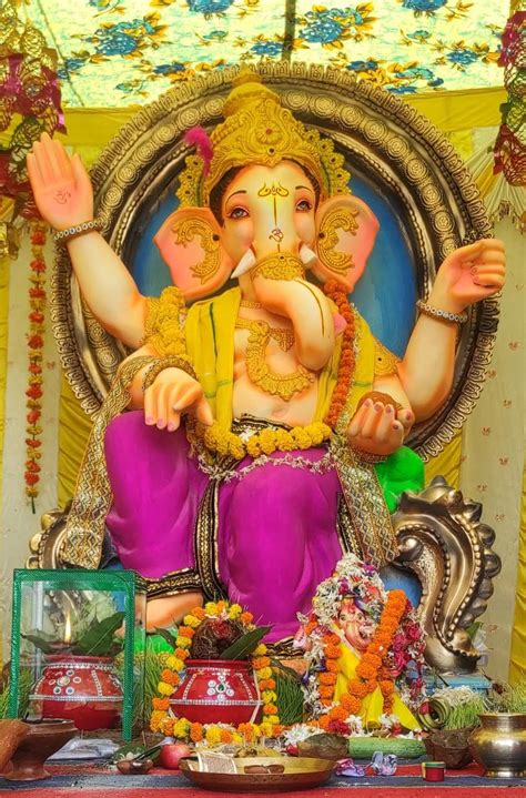 नव युवा गणेशोत्सव समिति लामनी ने इस वर्ष भी रखा गणपति धूम धाम के साथ