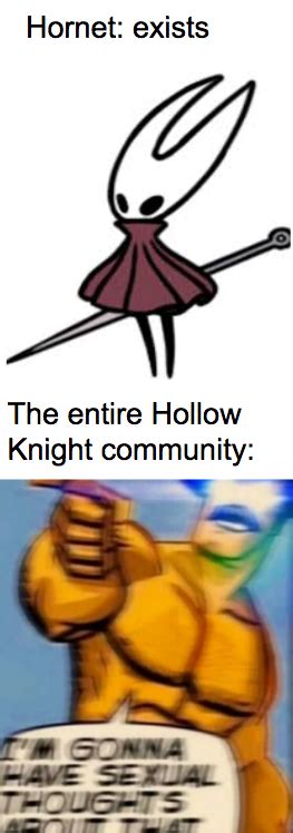 Good Ol Rule34 R Hollowknightmemes