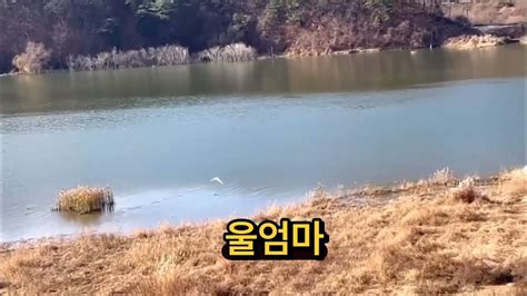 울엄마가수김재웅작사작곡이해인저작권없음 Youtube