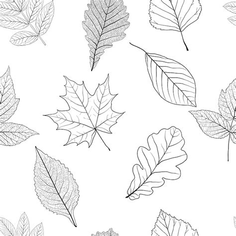 Premium Vector Seamless Background With Sketch Leaves Or Background