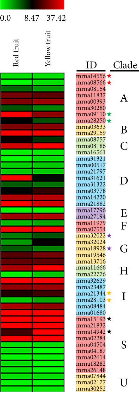 Heatmap Of All Fvbzip Genes Expressed In Different Tissues A And