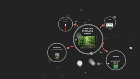 Temperate Diciduous Forest By Harry Barclay On Prezi