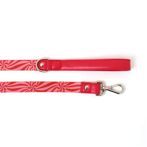 Ginger Leash Daisy By Shelby