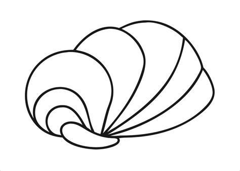 Seashell Outline Vector Art Icons And Graphics For Free Download